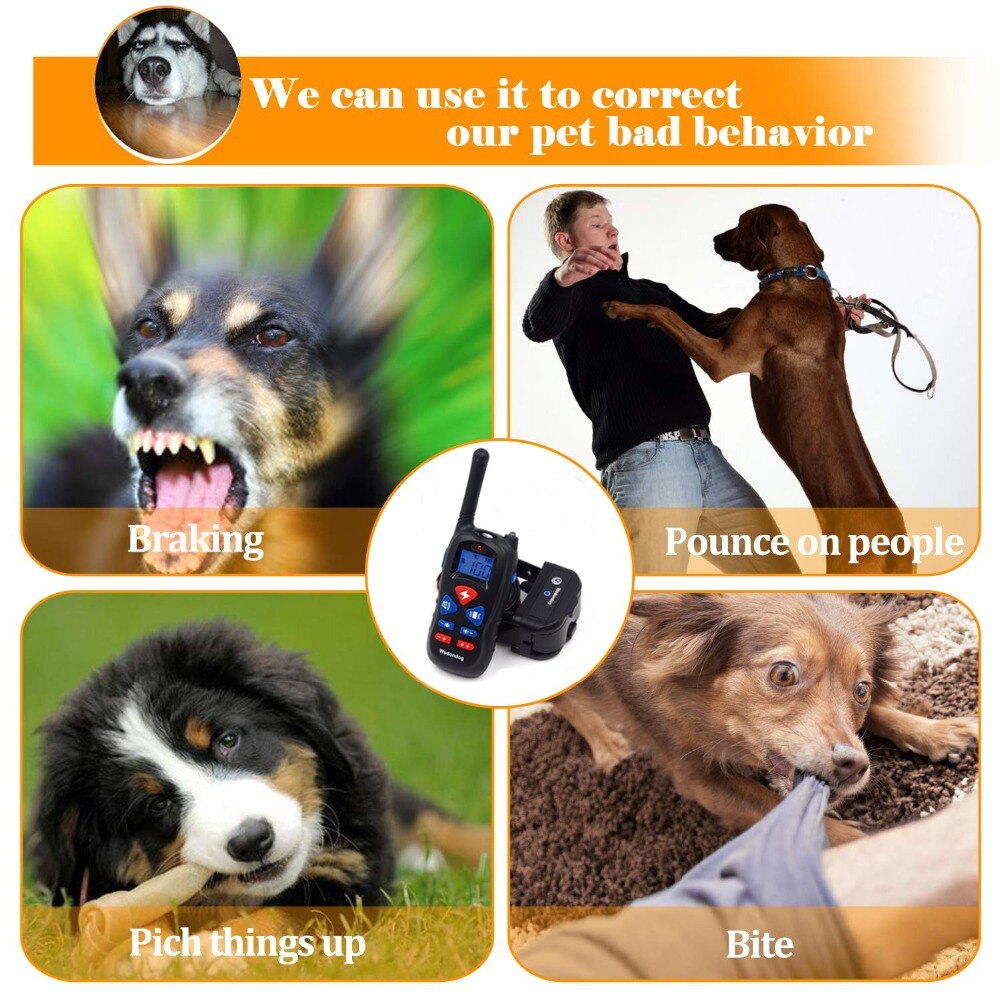 Dog Training Collar with Remote Transmitter Electric Shock collar ...